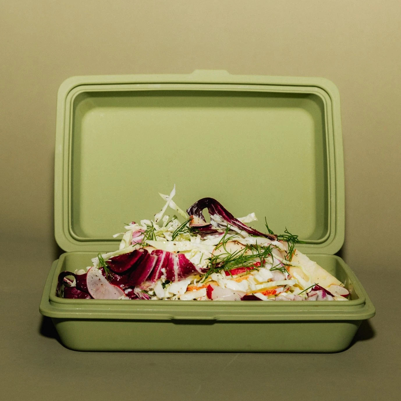 The Takeaway Box - Cactus Jam – Zivia Designs