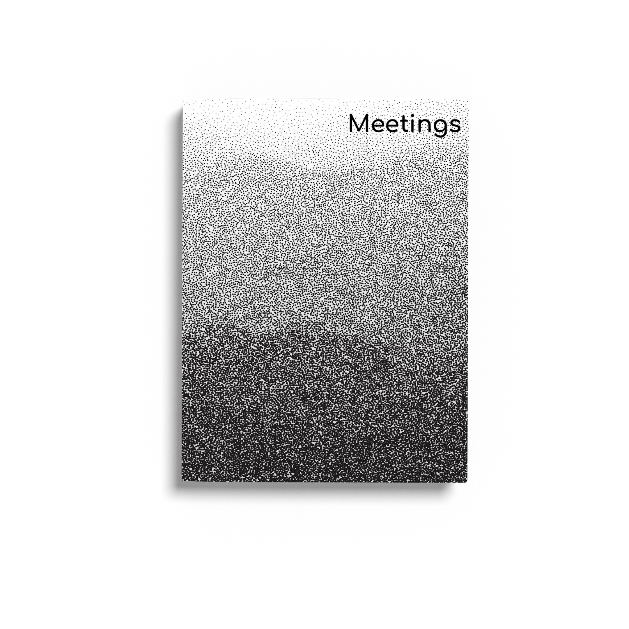 Echo Meeting Notebook